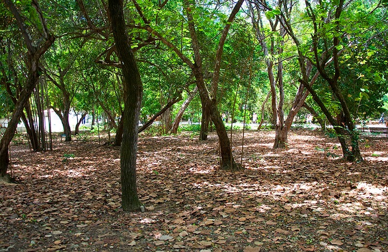 Parque Estadual Dunas de Natal - 2024 | Dicas incríveis!