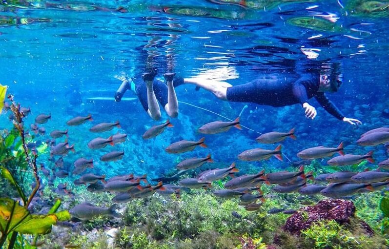 Roteiro de 3 dias em Bonito - 2024 | Dicas incríveis!